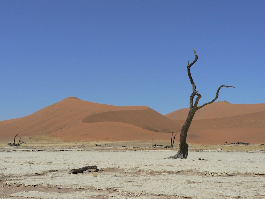 Ruta del Okavango - MGC